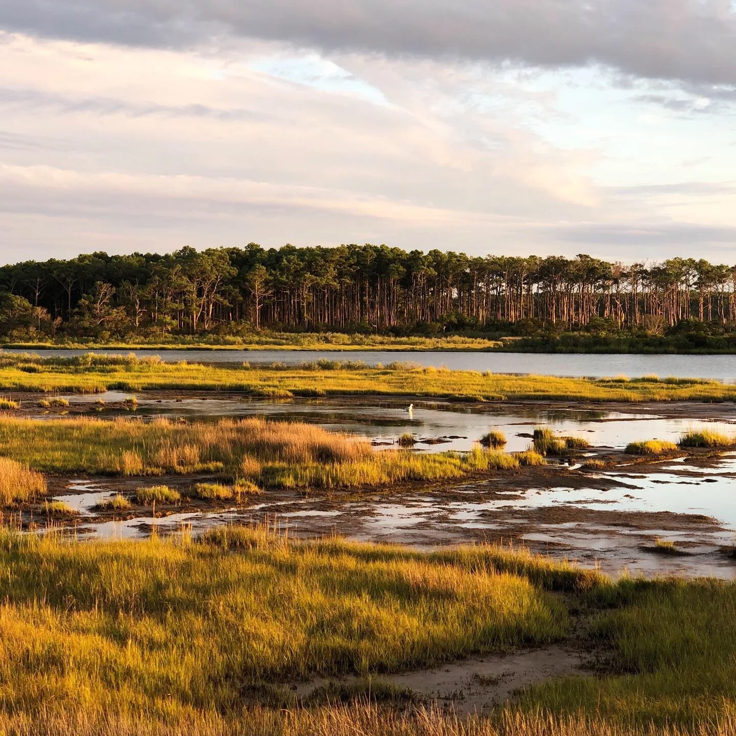 Regional Partners — Forever Maryland