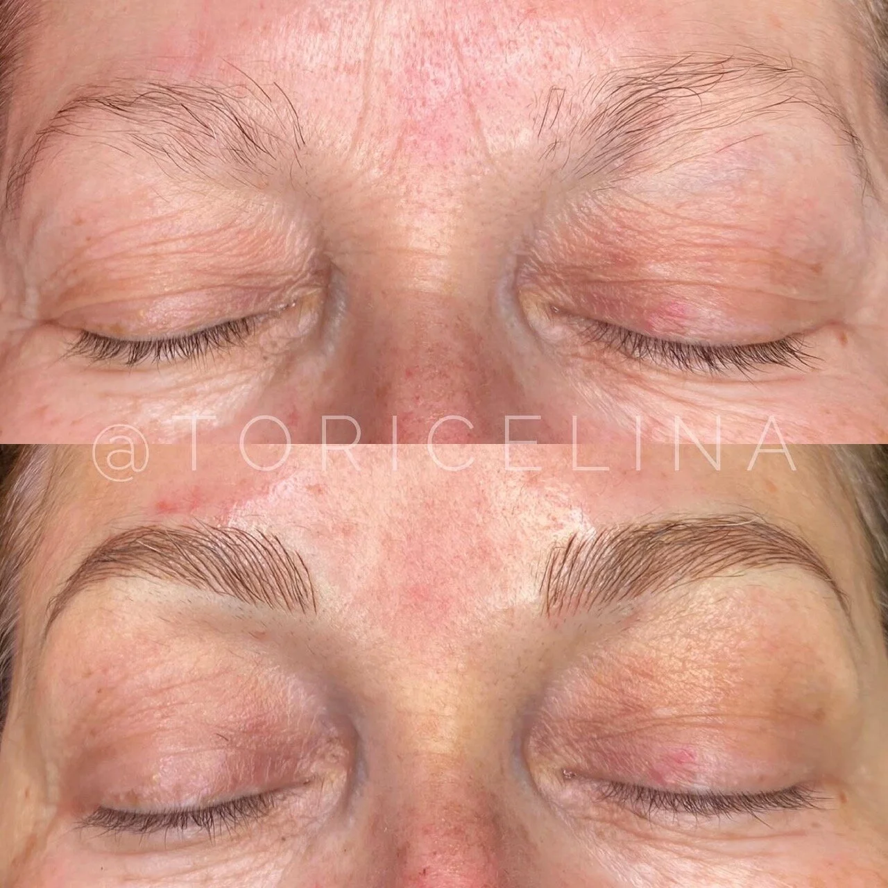 TORI CELINA — TORI CELINA BEAUTY