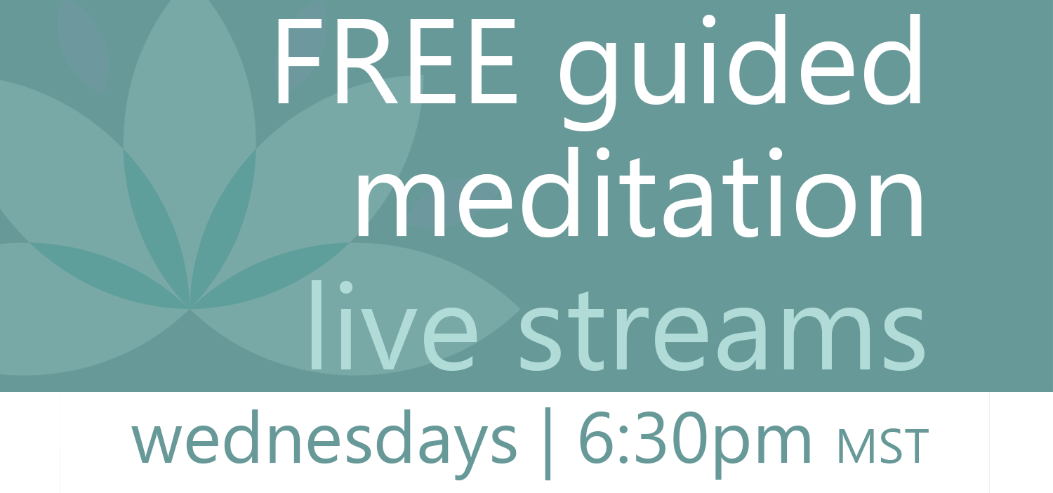 Meditation Breaks | In-person guided mindfulness meditation classes and ...