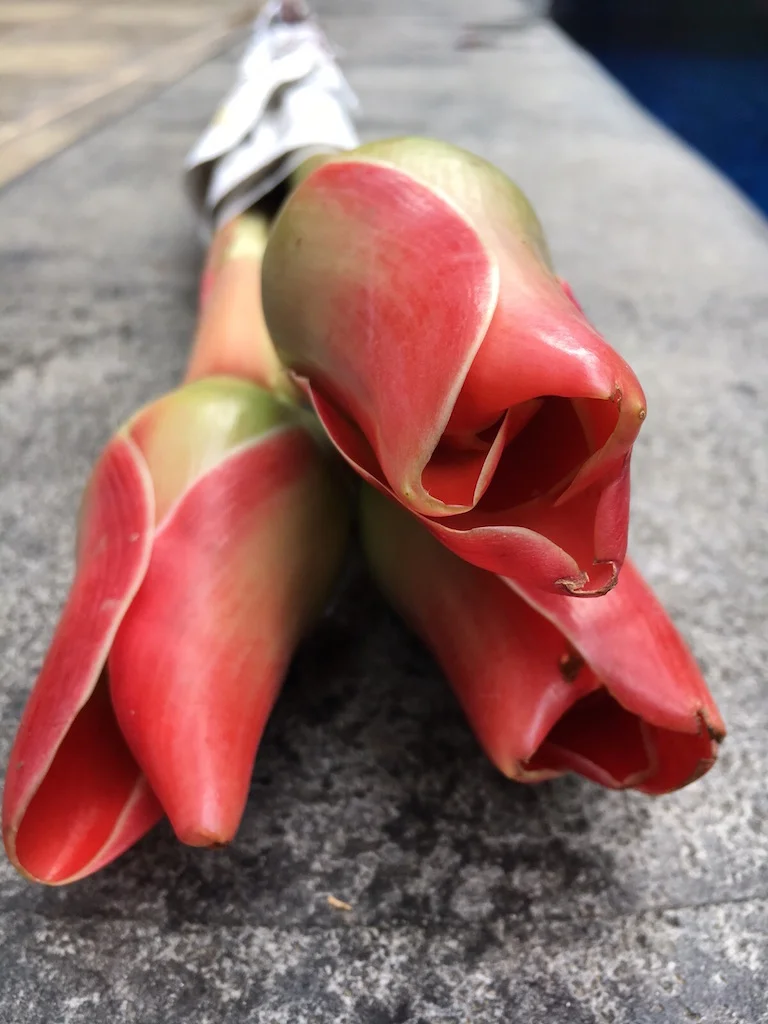 How to make our Javanese-style Rujak — A Journey Bespoke