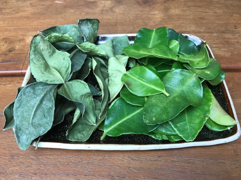 AJB's Guide to Essential Herbs and Spices for your Indonesian Kitchen ...
