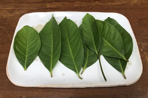 AJB's Guide to Essential Herbs and Spices for your Indonesian Kitchen ...