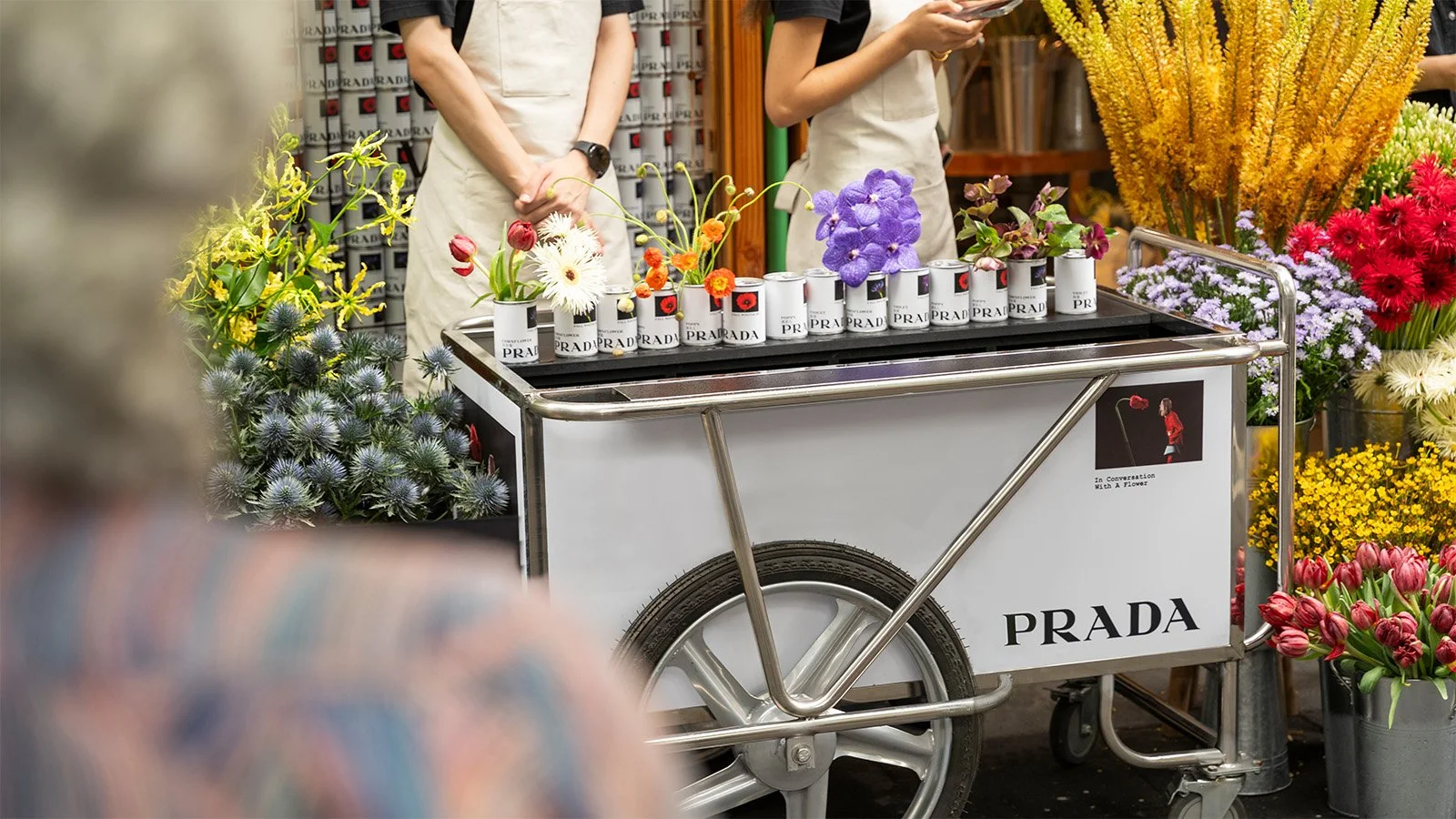 Prada 2023秋冬系列广告大片于全球精选花店生动呈现 — Amazedaily
