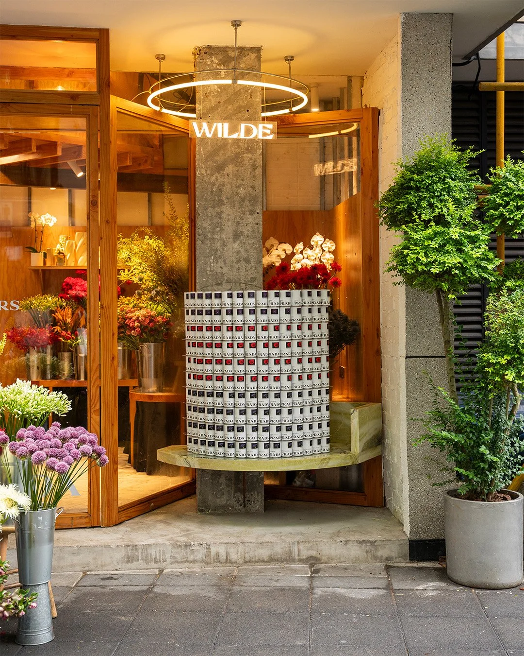 Prada 2023秋冬系列广告大片于全球精选花店生动呈现 — Amazedaily