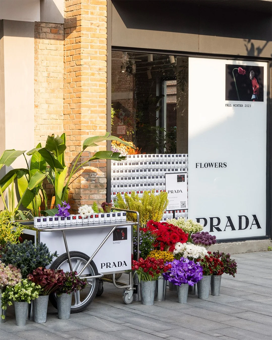 Prada 2023秋冬系列广告大片于全球精选花店生动呈现 — Amazedaily