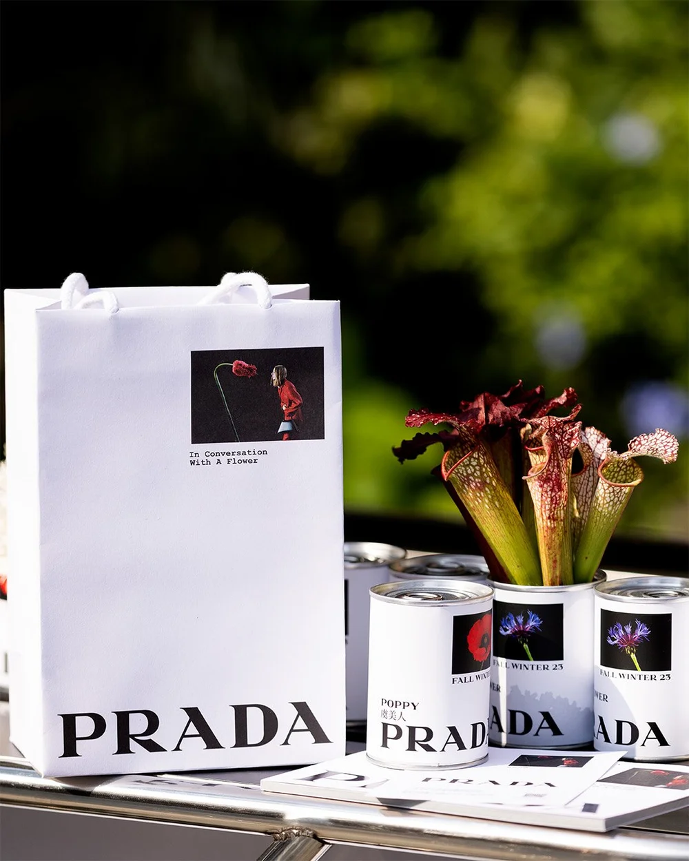 Prada 2023秋冬系列广告大片于全球精选花店生动呈现 — Amazedaily