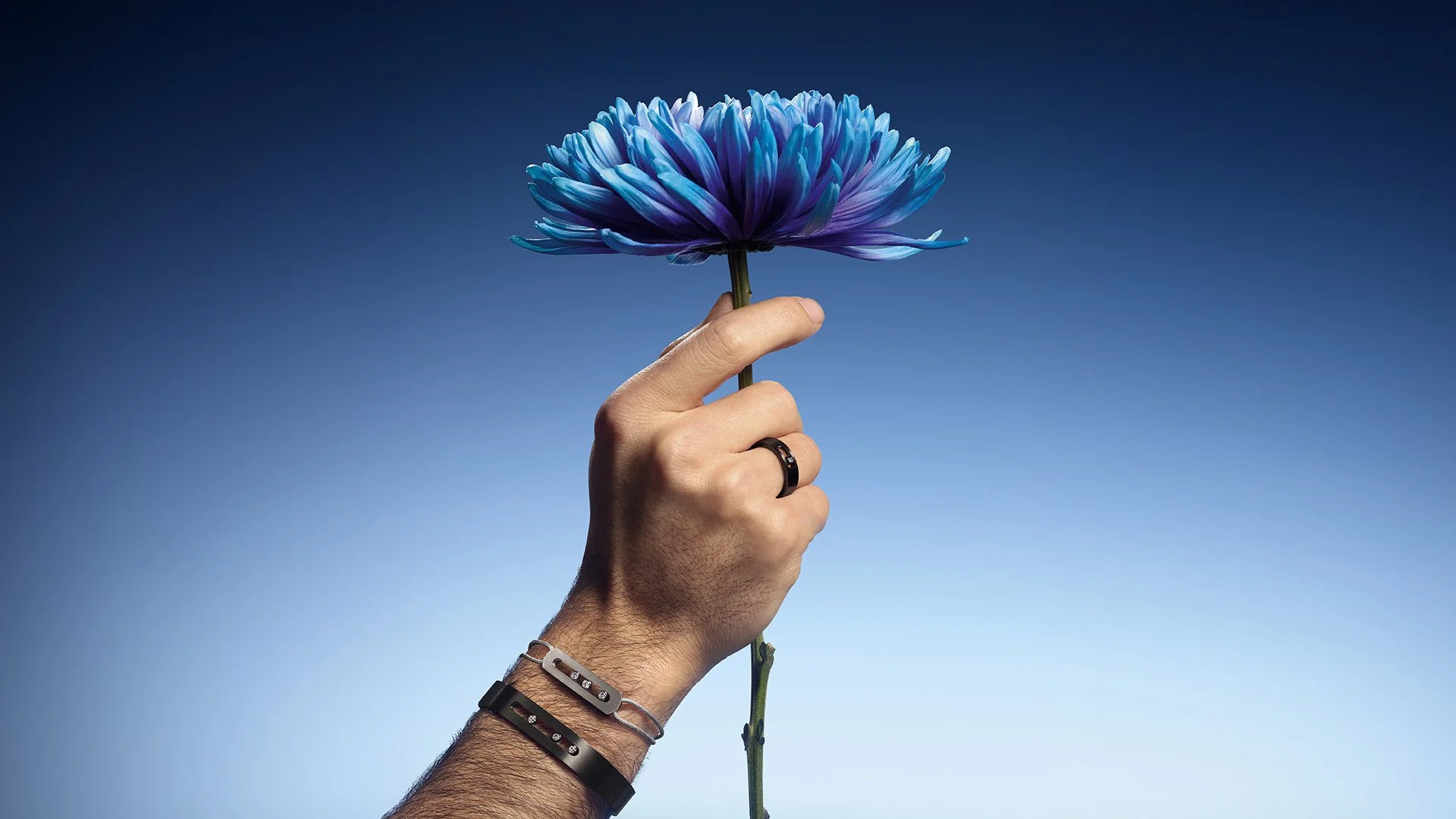 璨然之间，爱意盛放丨MESSIKA梅西卡2024情人节心动甄选 — Amazedaily