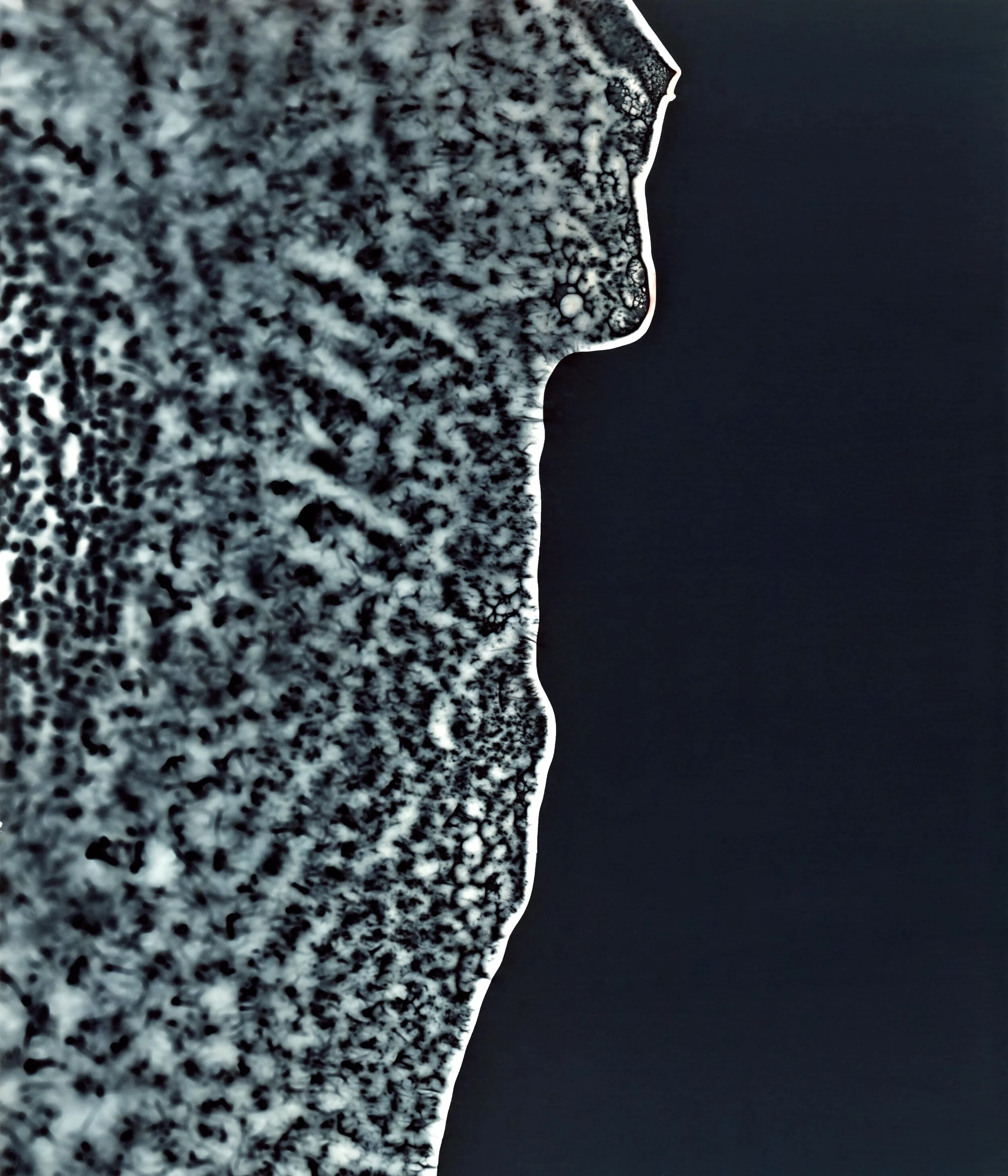 Aeriform — Kate-Bowe O'Brien