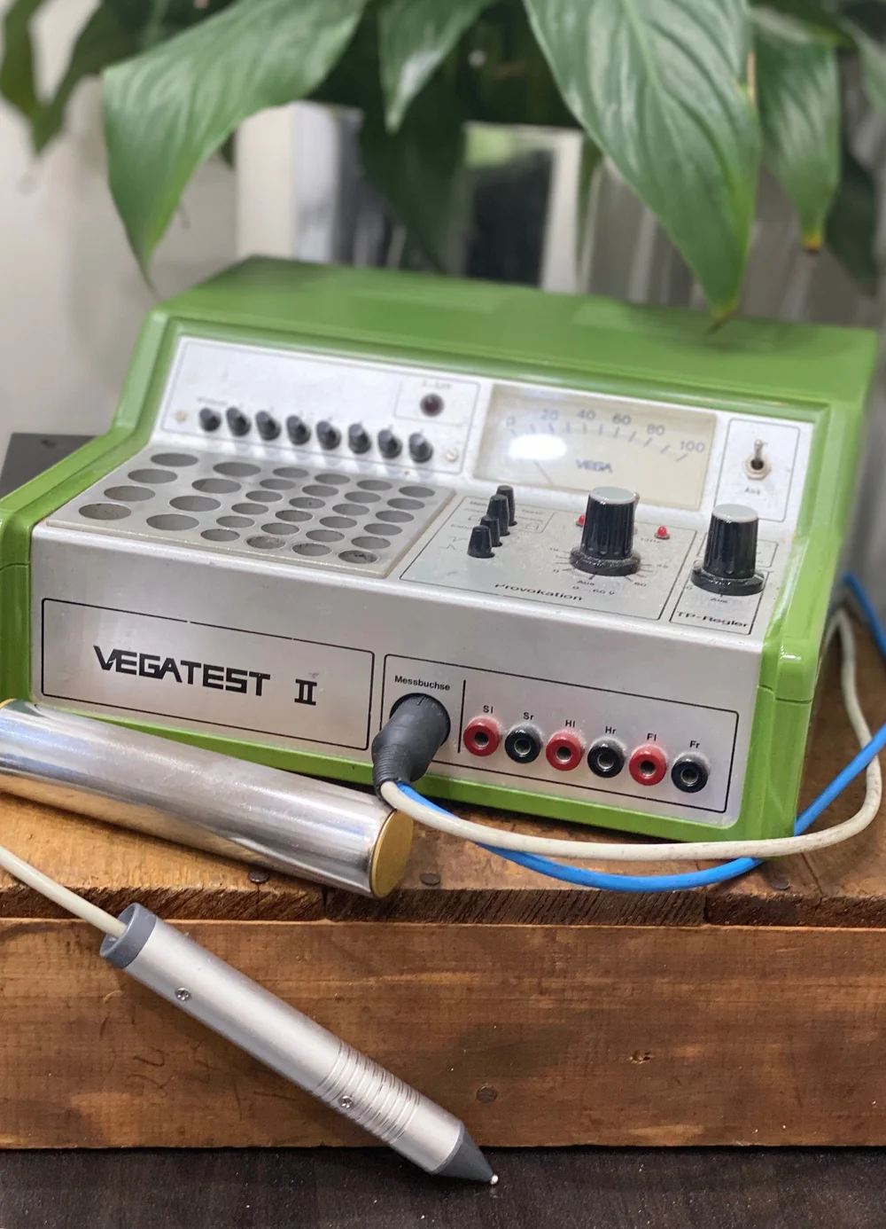 Services — Michelle McGilvray Naturopath