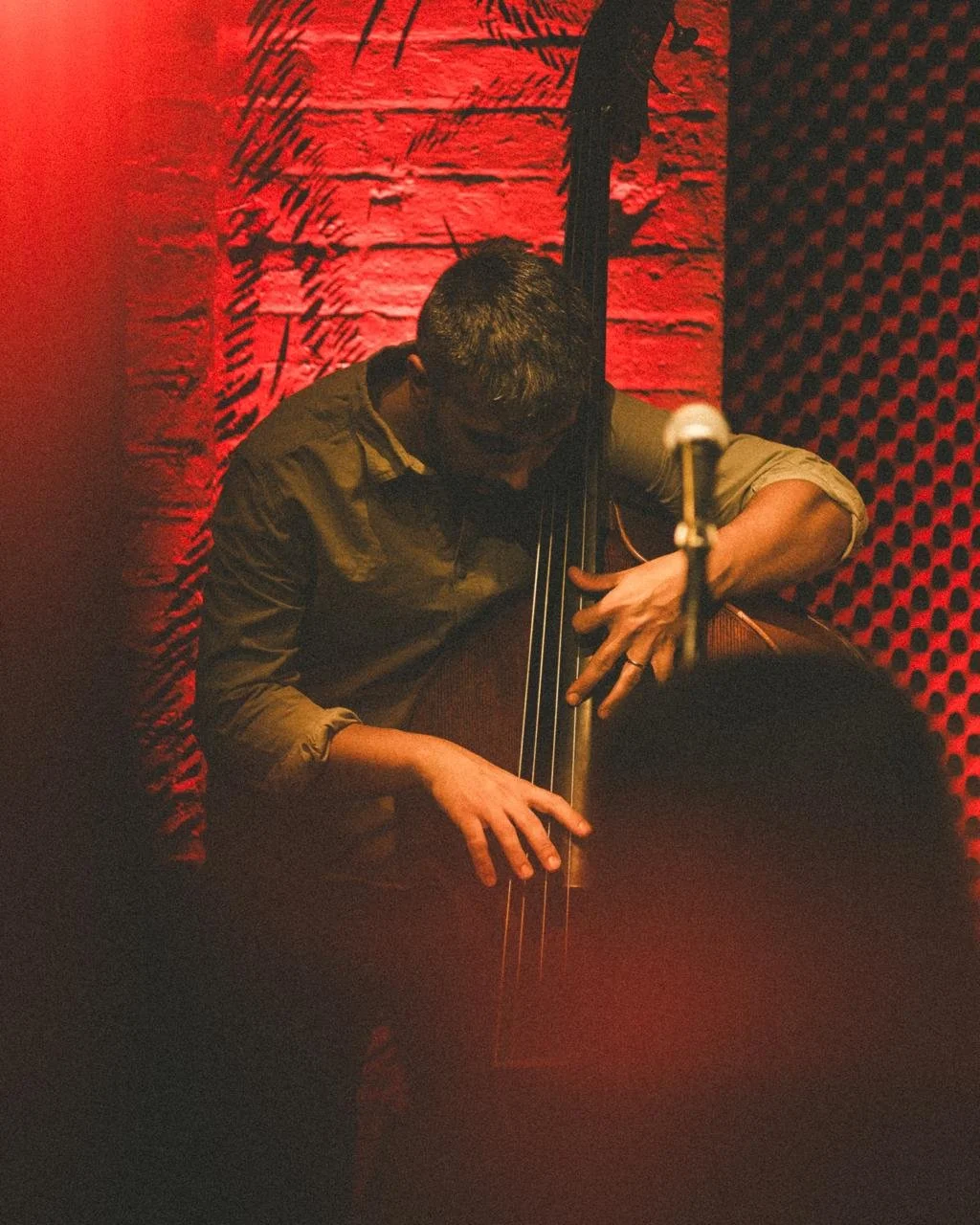 About — Howl Quartet