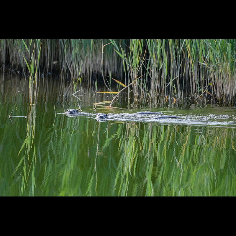Store — Andrew Turpin Photography