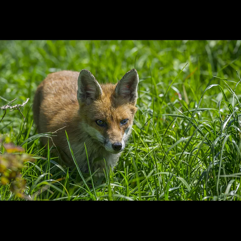 Andrew Turpin Photography