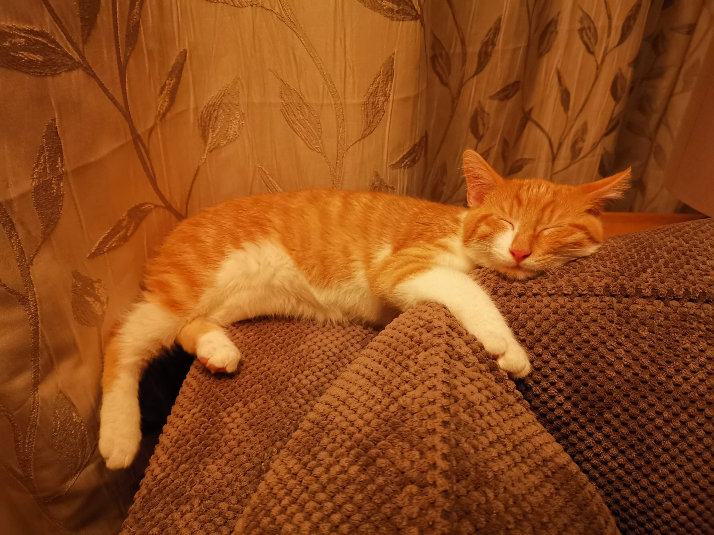 Hello, Mo! — TinkyTooky