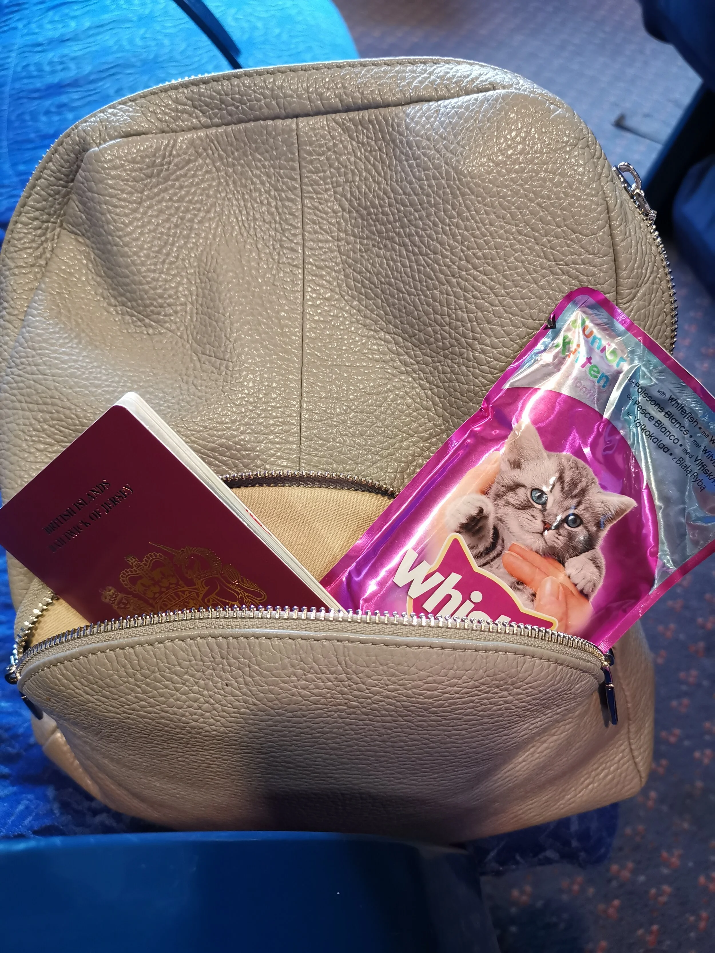 Hello, Mo! — TinkyTooky