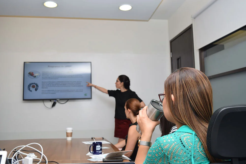 Servicios — Balance Consultoría Social