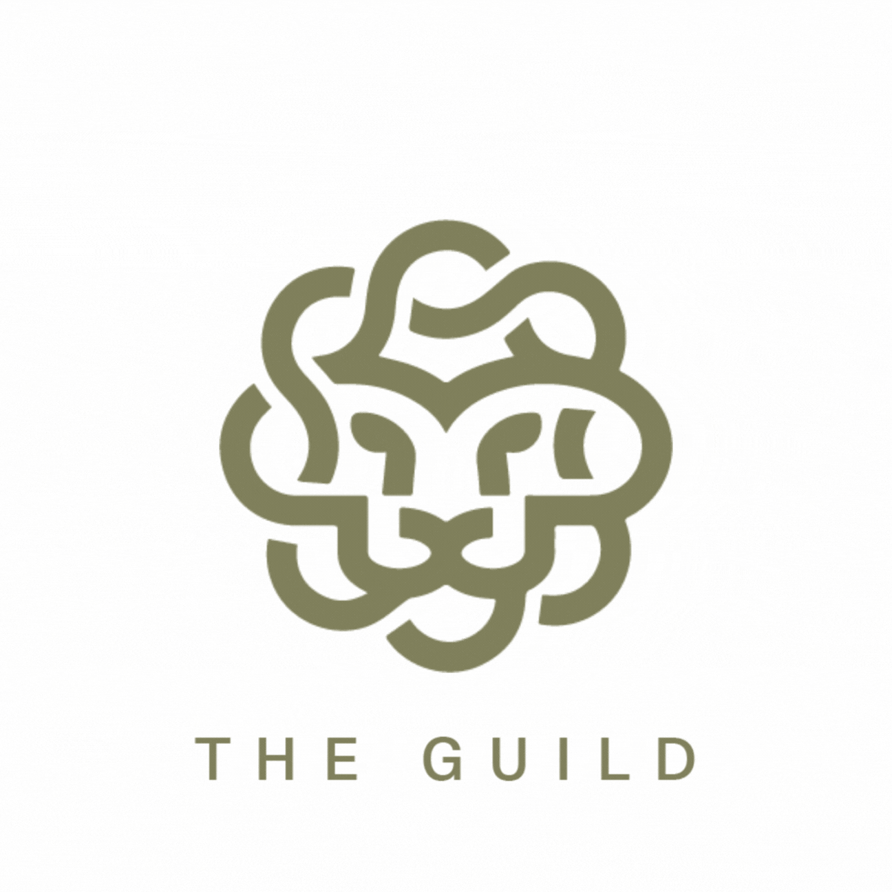 The Guild — Vault Virginia