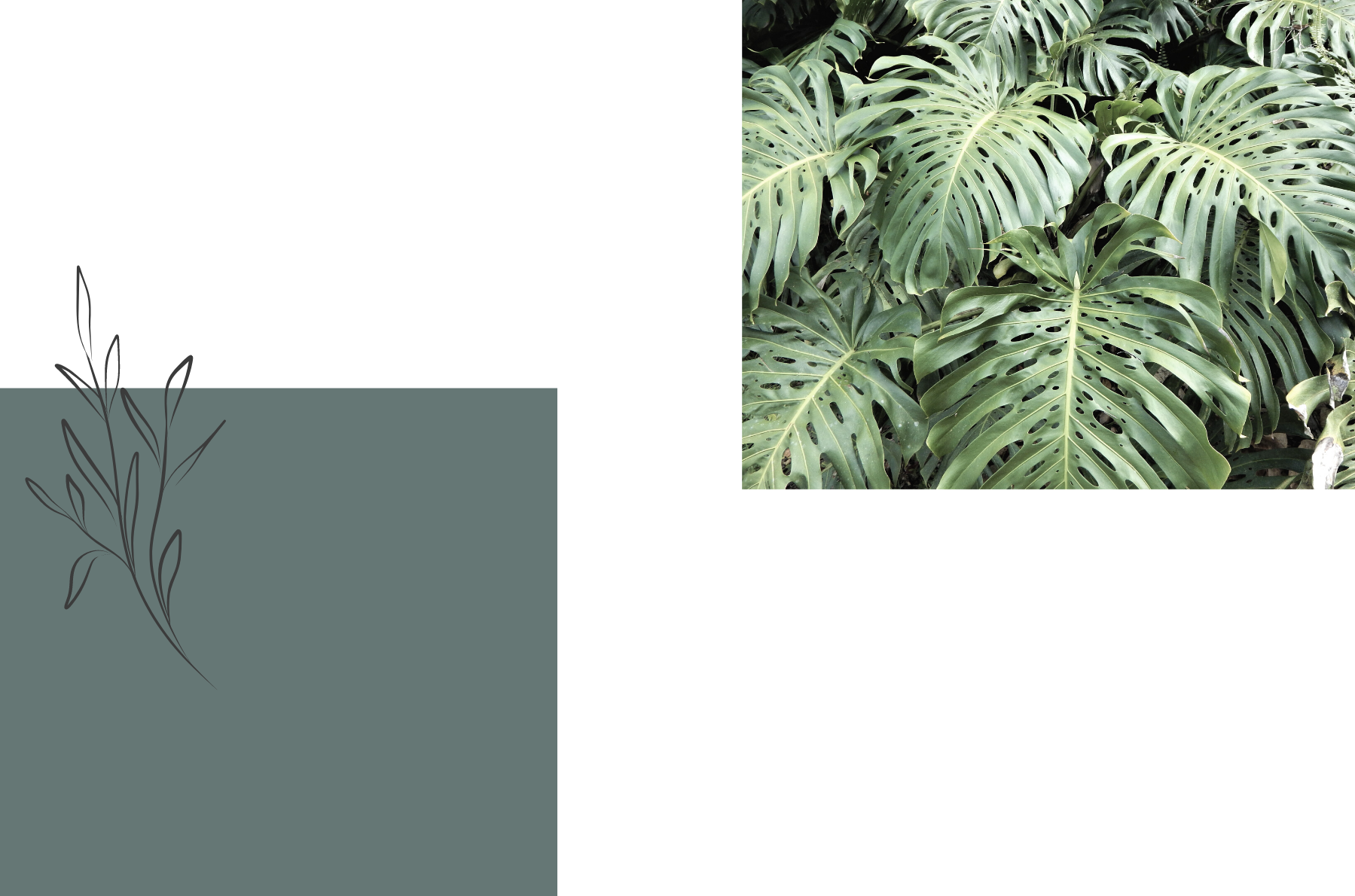 BK Branding Co. | Brand & Website Design for Professional Organizers