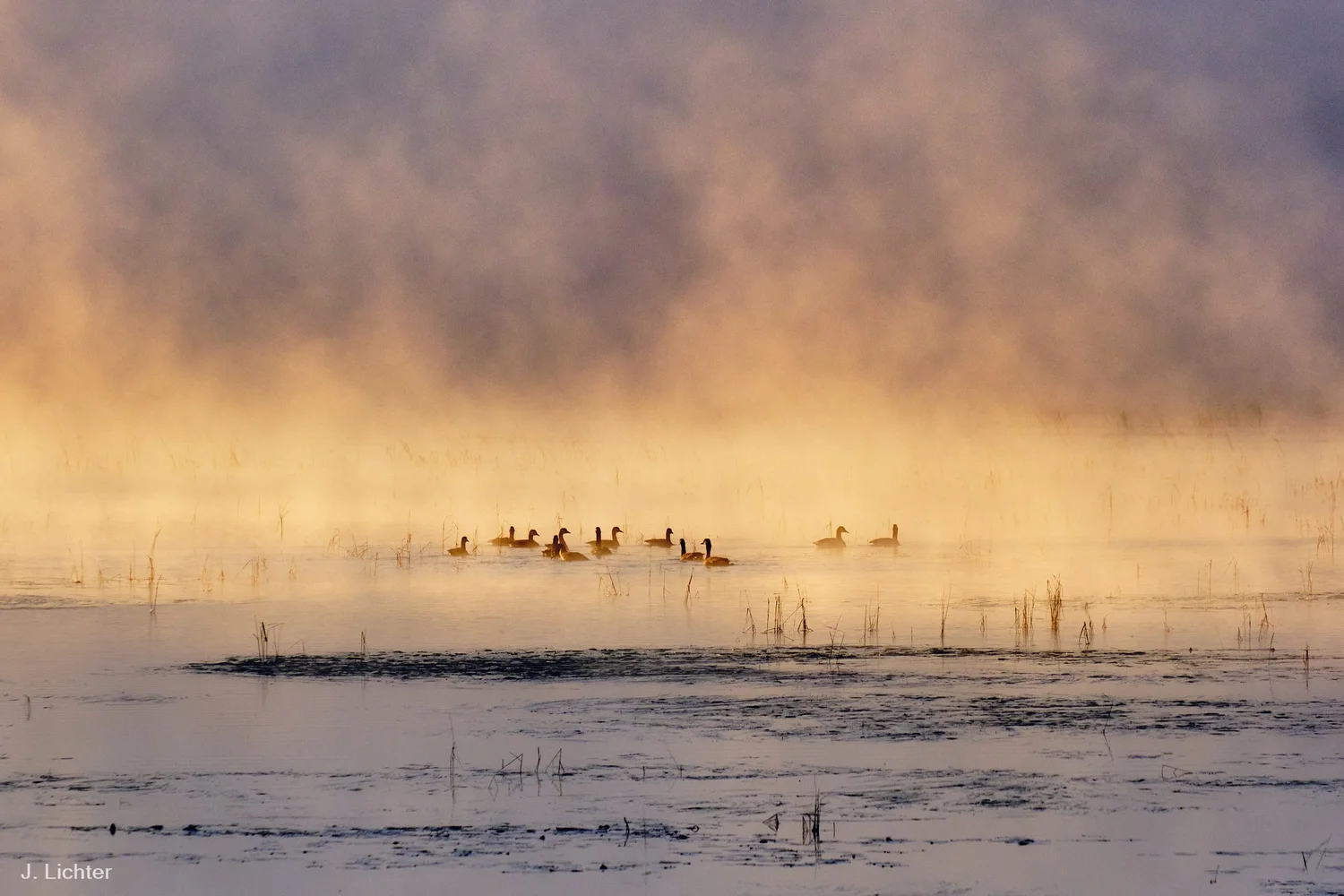 Gallery 3 — John Lichter