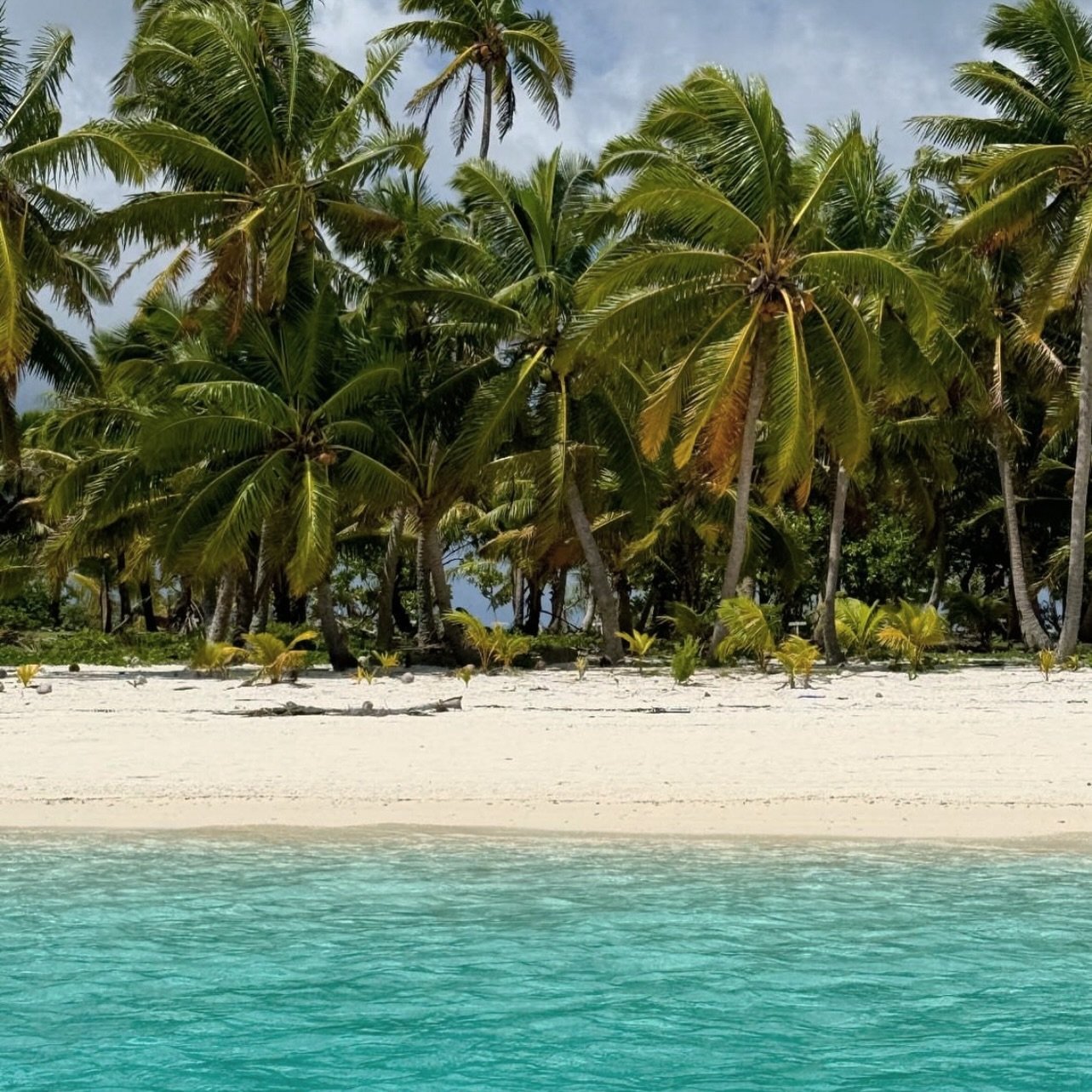 Amini Swim - Sustainable and Ethical Swimwear | Offical Website