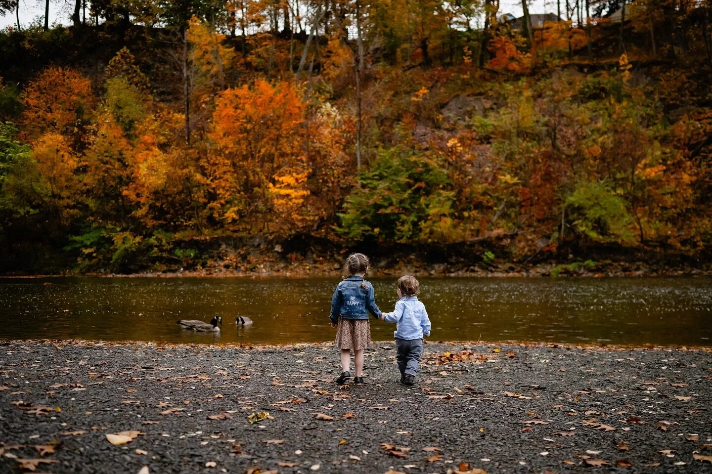 Sarah Beirne Photography