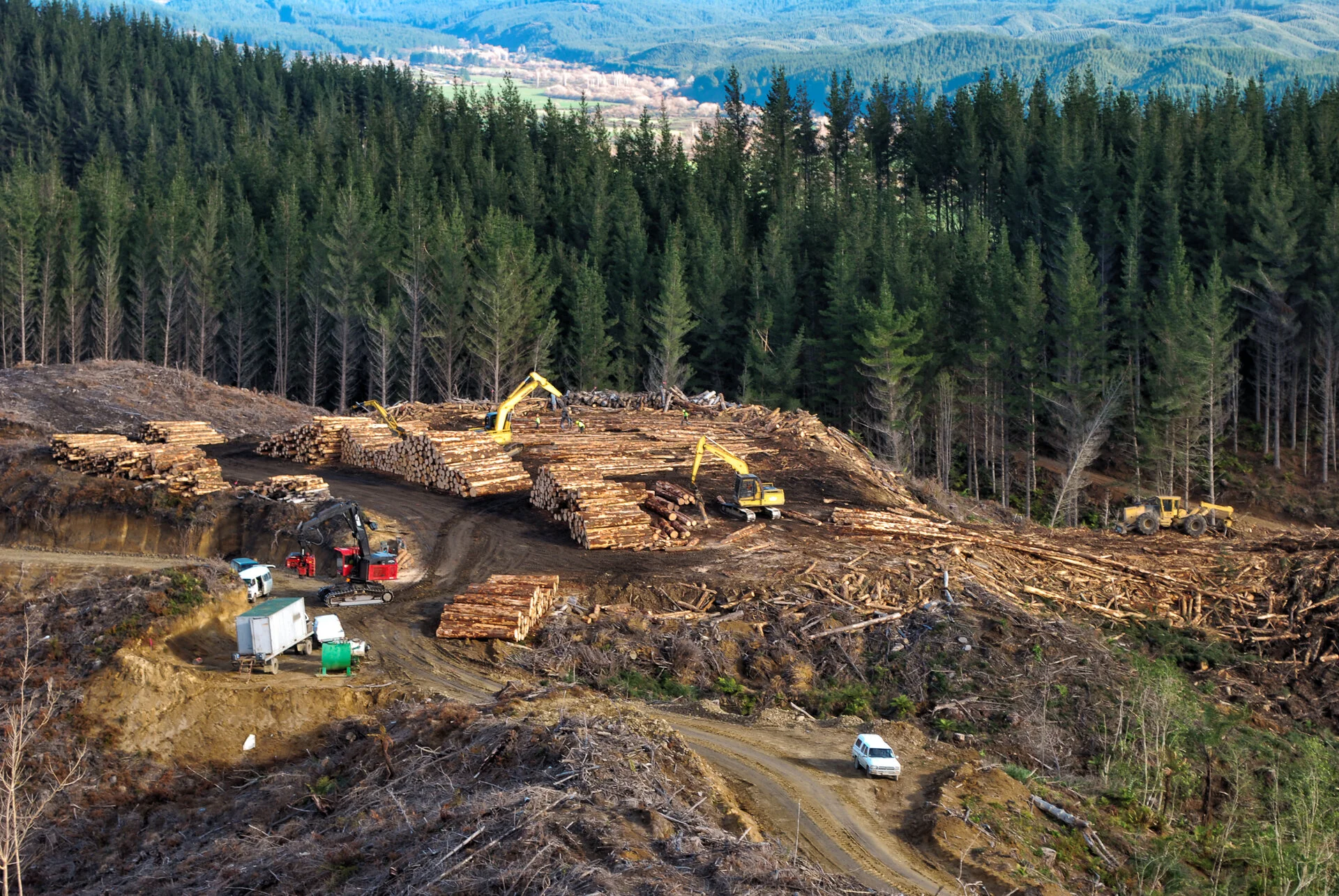 Saathof Forestry Services | Forestry Management | New Zealand