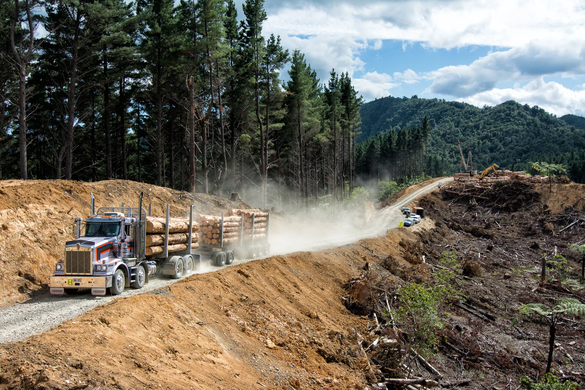 Saathof Forestry Services | Forestry Management | New Zealand
