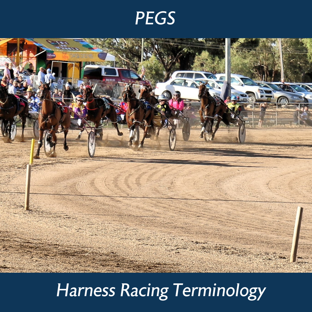 Harness Racing Terminology — Temora Trotting Club