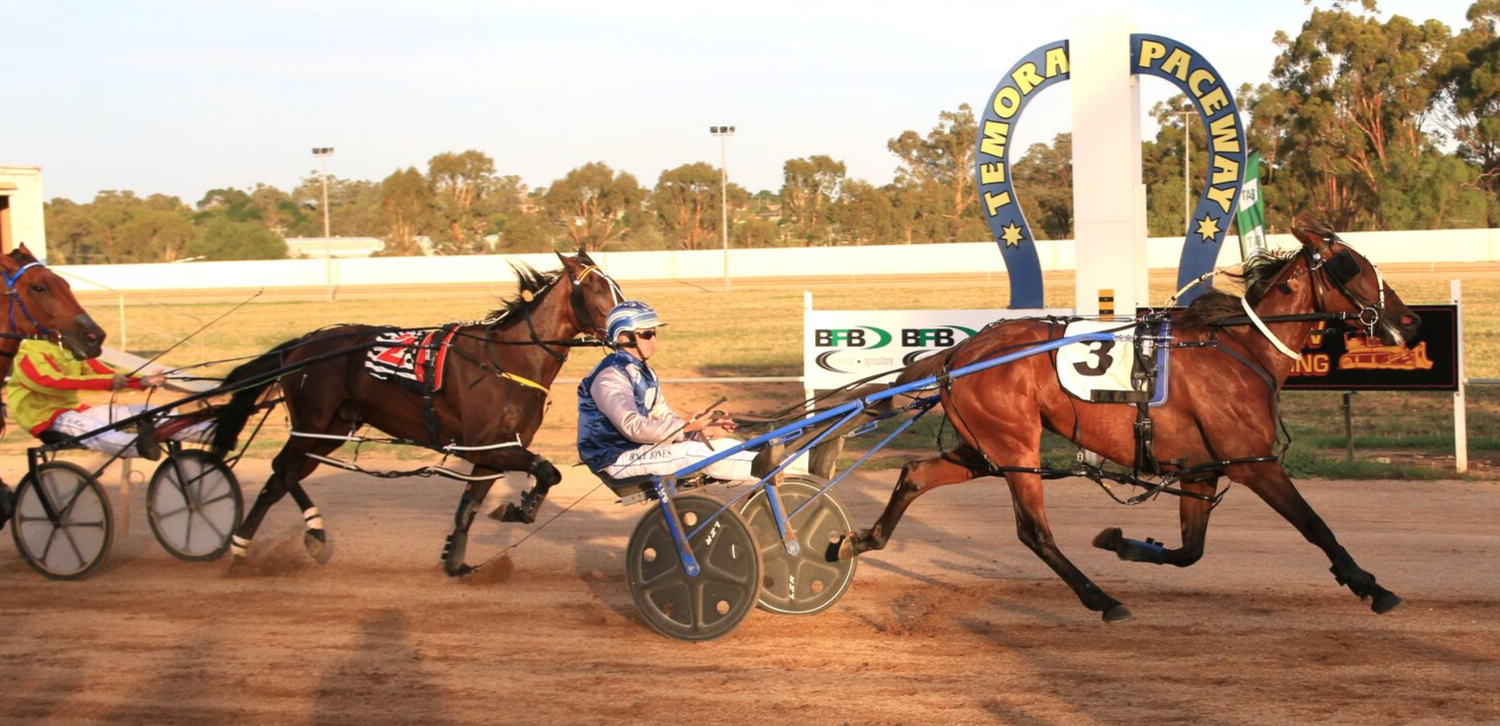 Temora Trotting Club