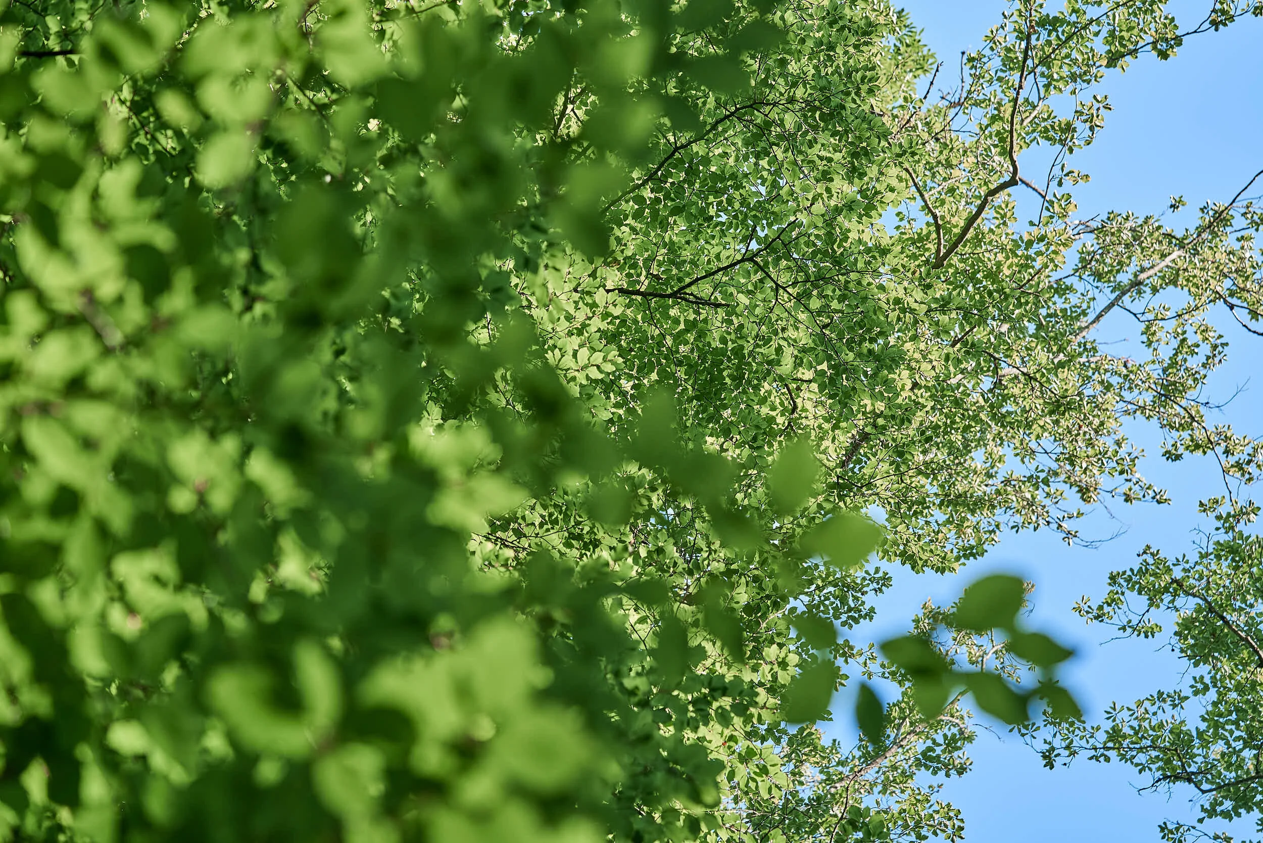 Organisational Development, Agile Organisation, Online Consulting ...