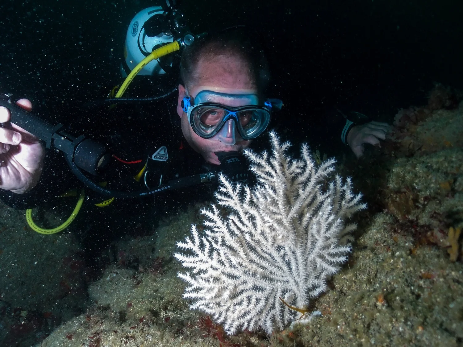 Diving In Jersey — Bouley Bay Dive Centre