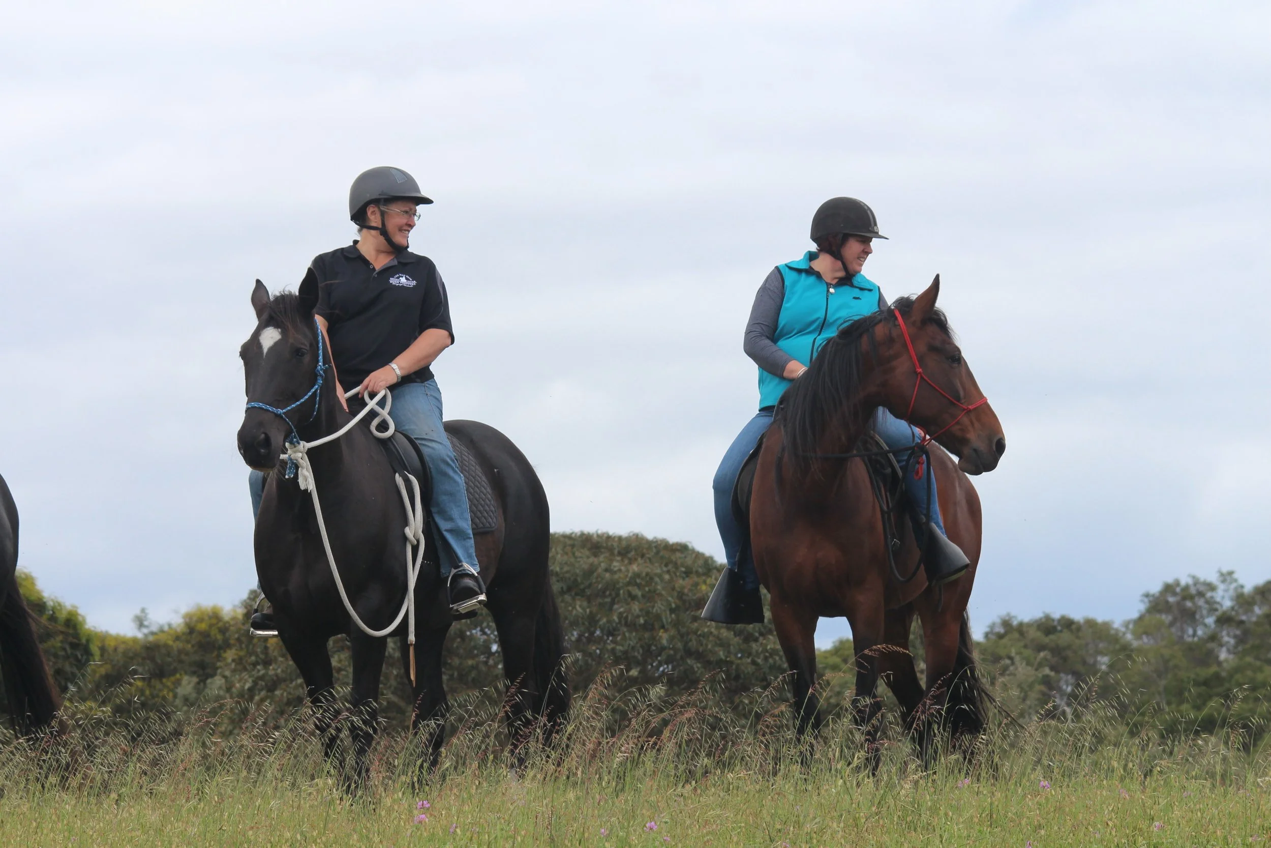 Albany Trail Riders (ANTs) ride in a variety of places in a safe ...
