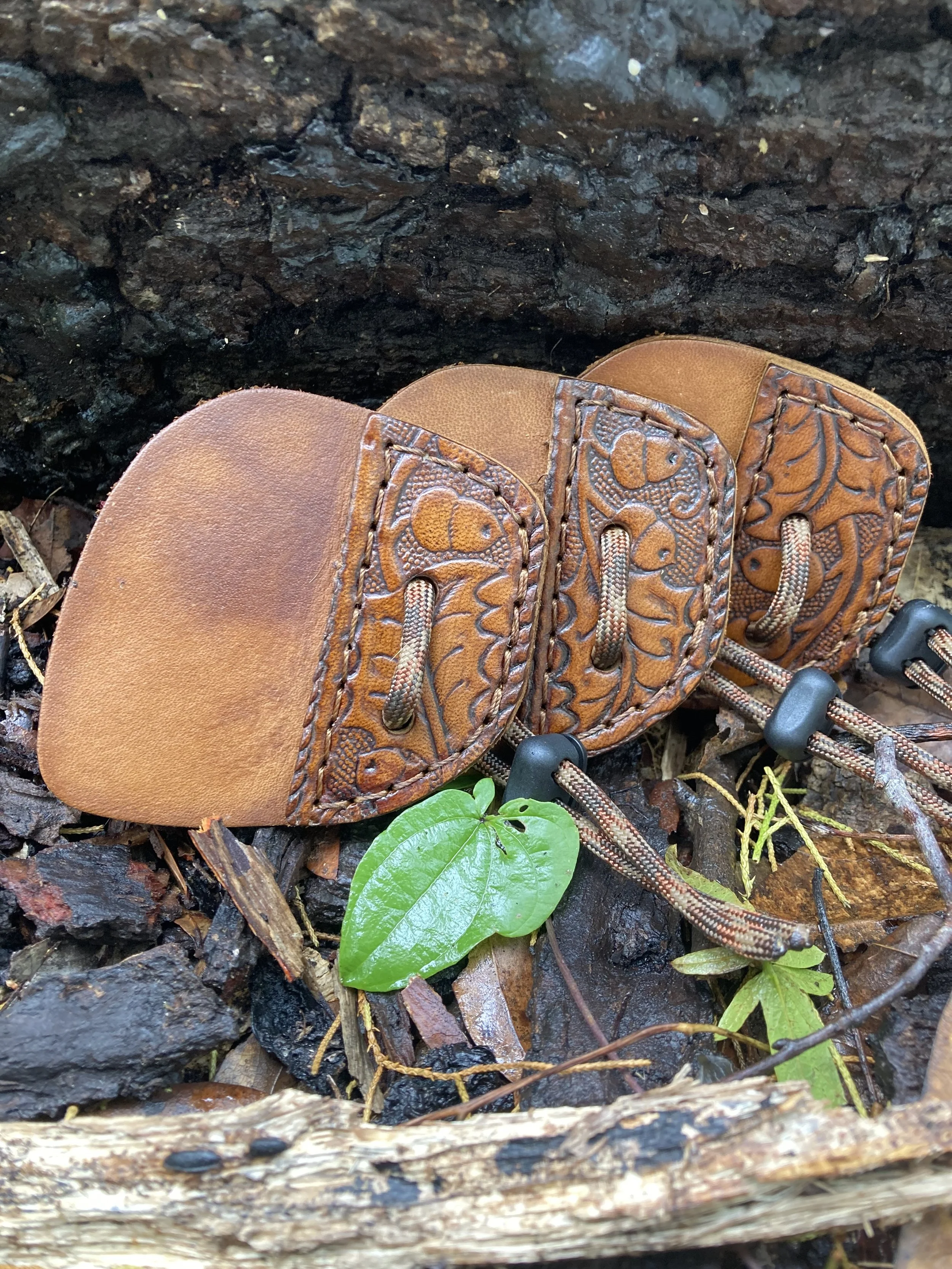 all products — Omnivore's Quivers