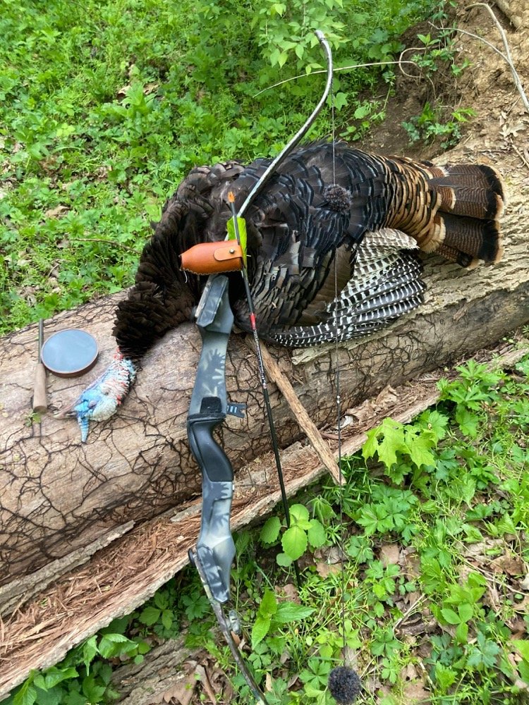 Omnivore's String Tracker — Omnivore's Quivers