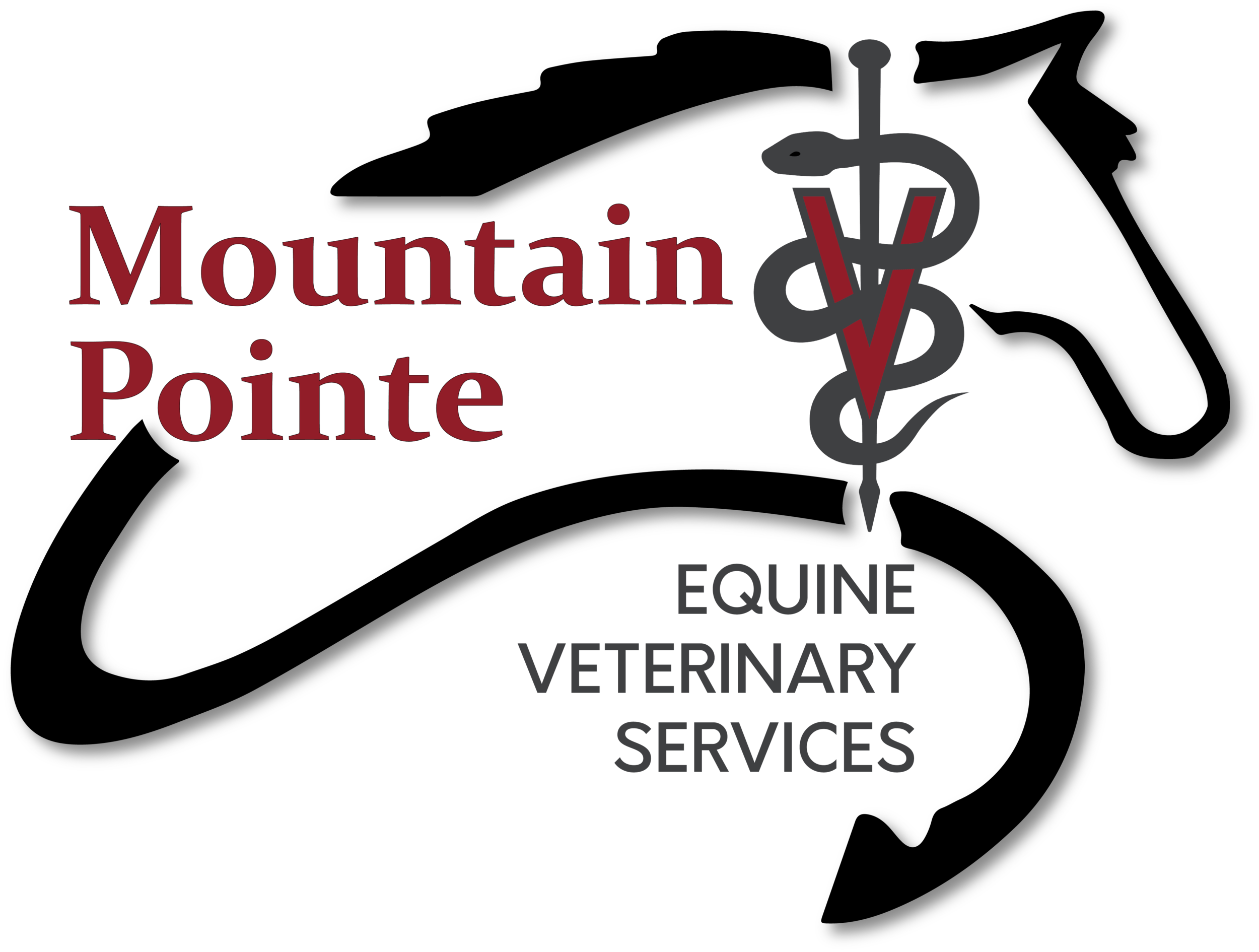 Equine Veterinary Logo