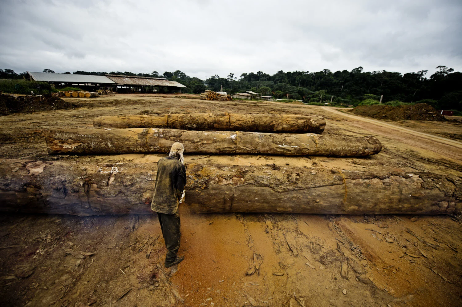 Gabon | James Morgan