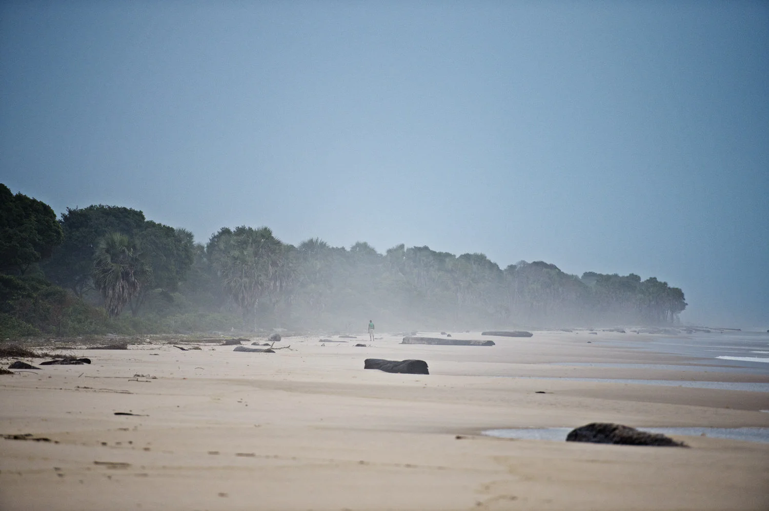 Gabon | James Morgan