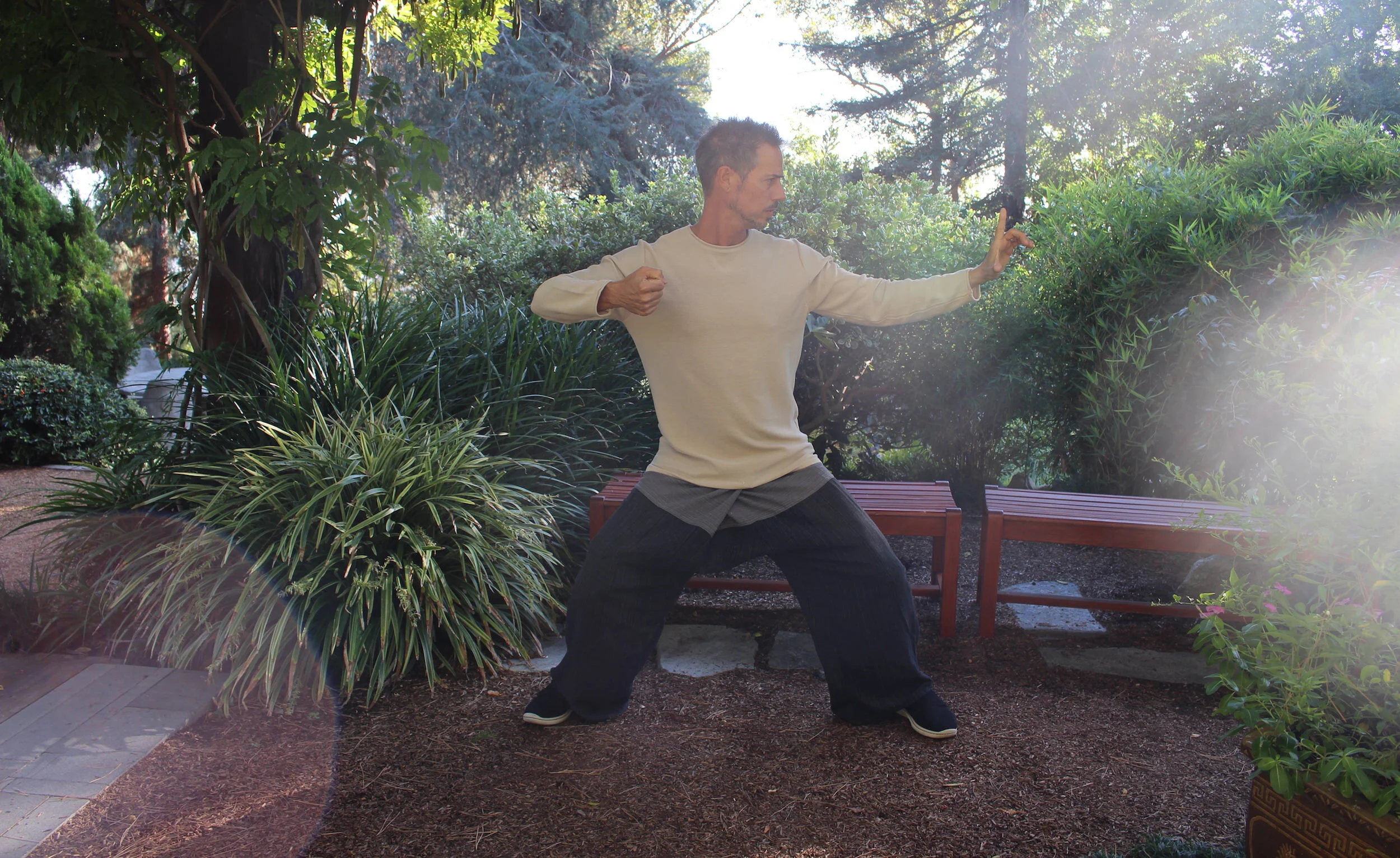Regeneration Tai Chi Tai Chi Classes Los Angeles
