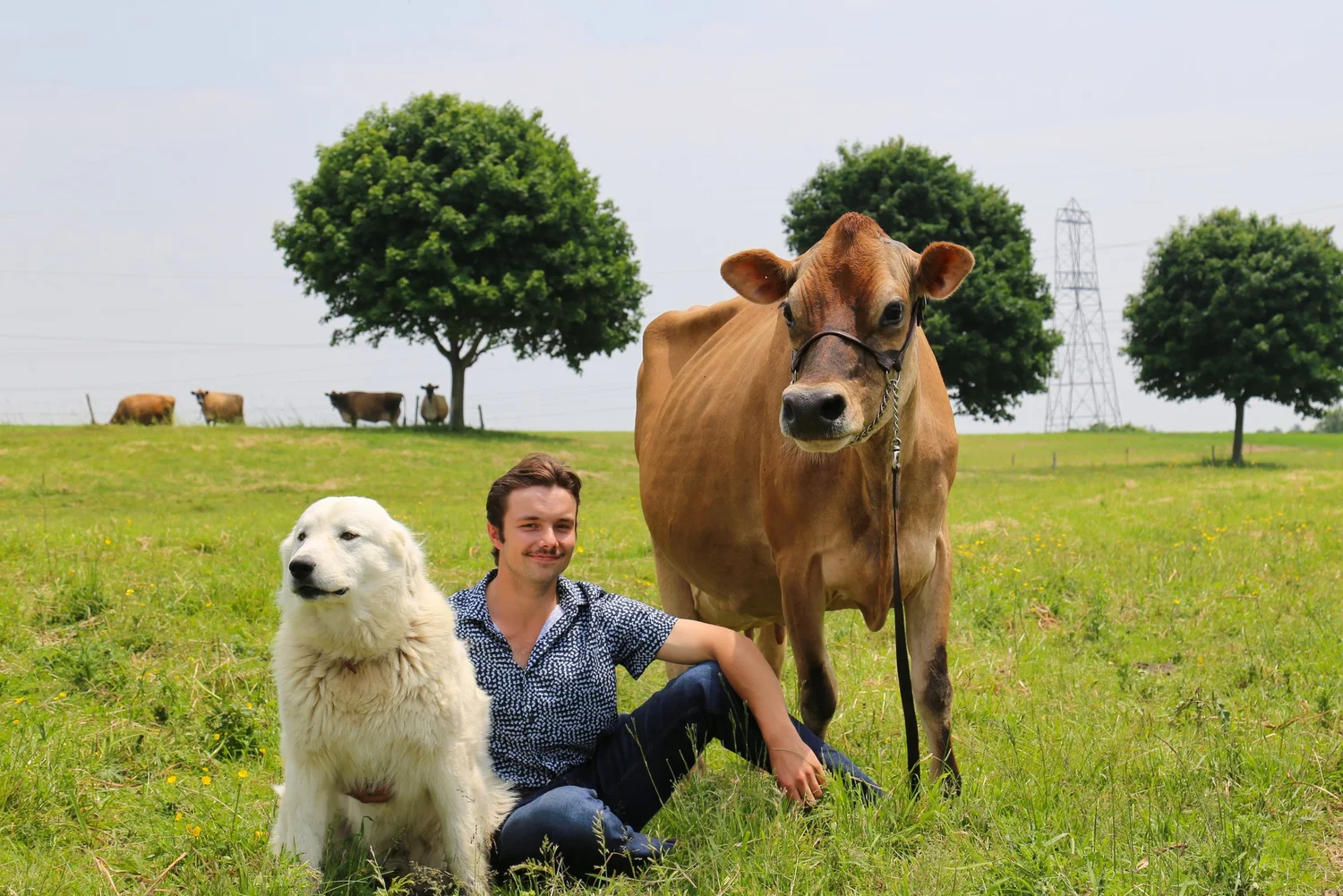 Our Farm — Sargent Family Dairy