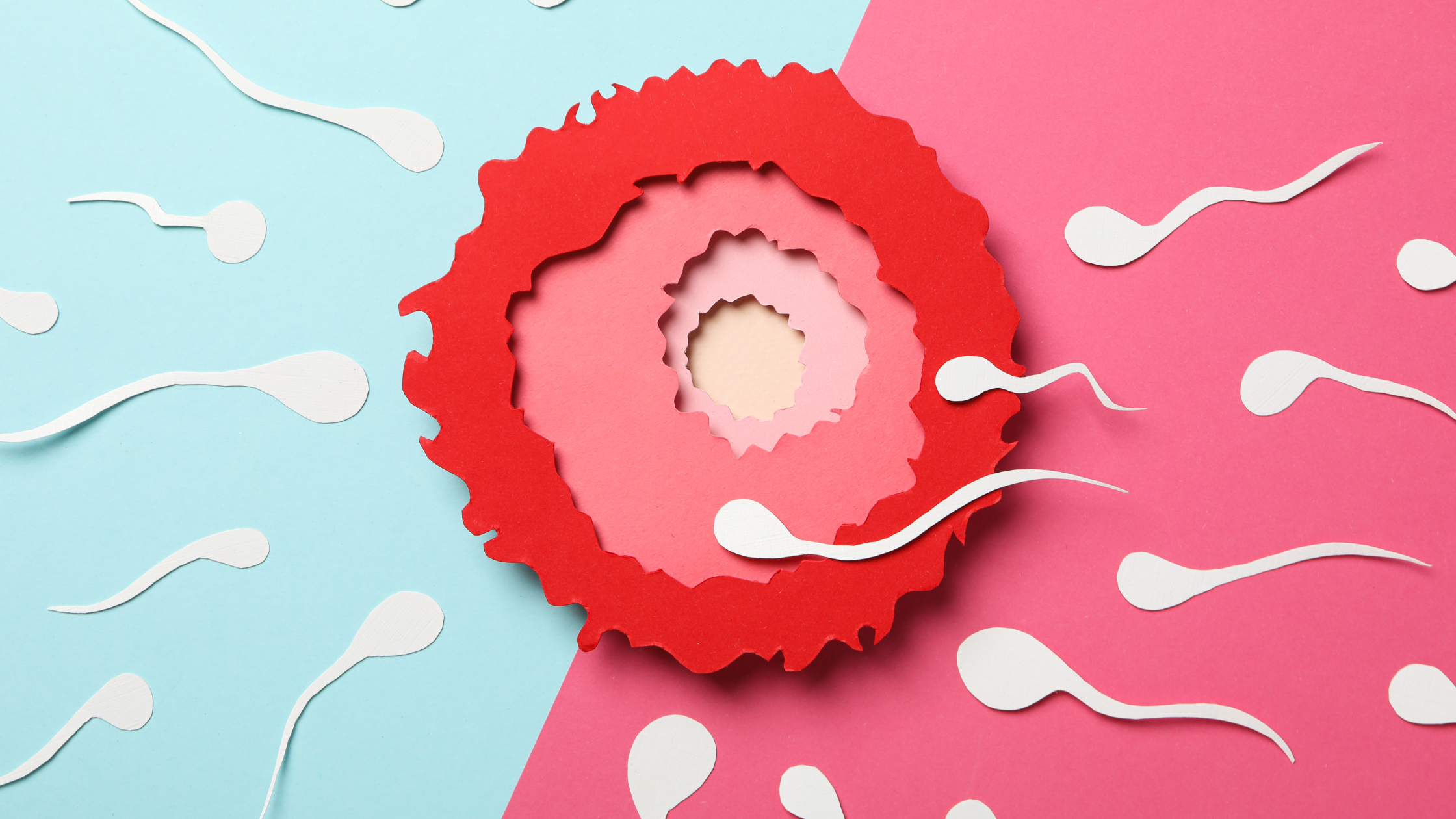 5 Things to Know About Your Fertility — The IVF Warrior