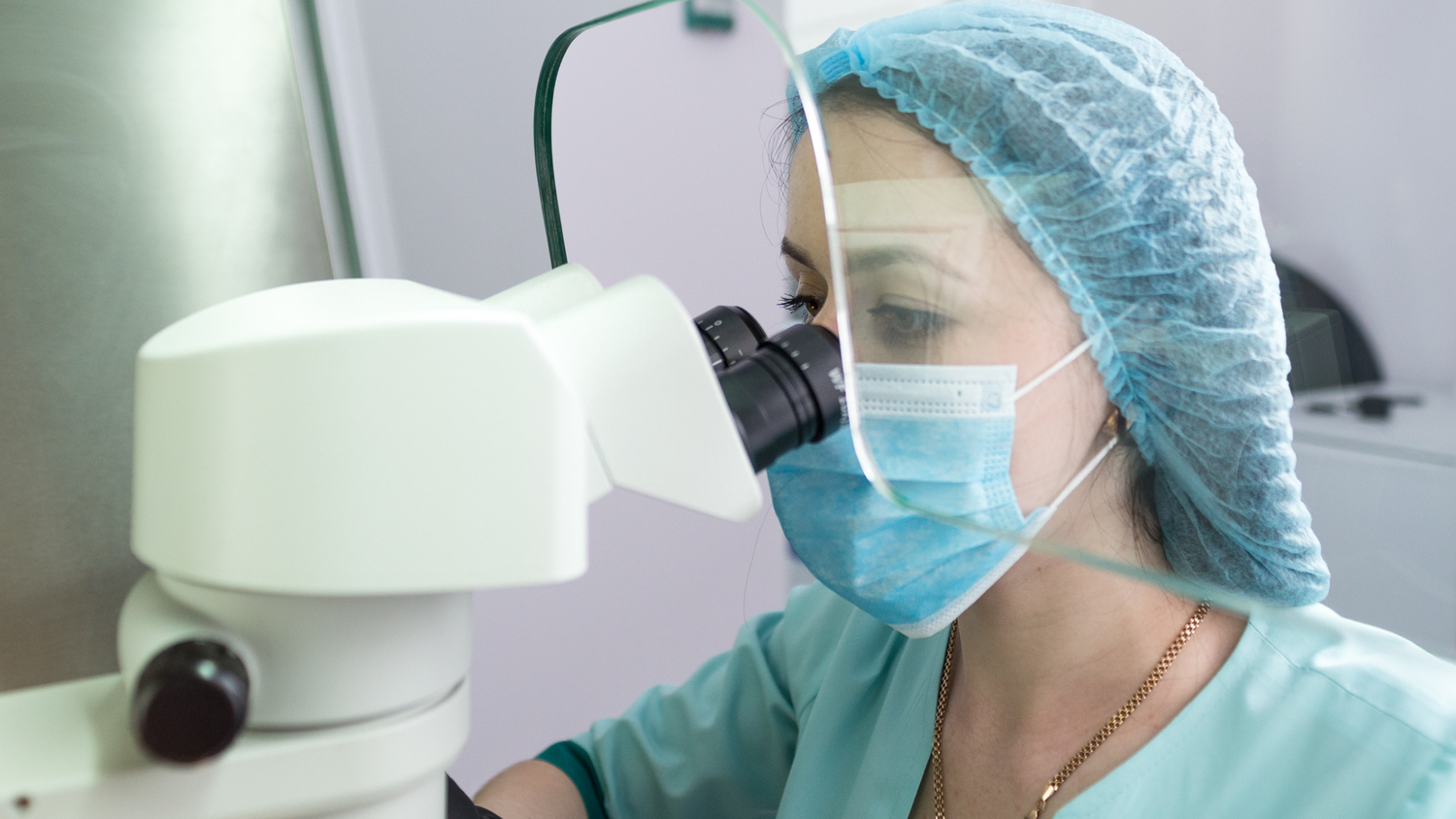 Embryology — Infertility, IVF & Reproductive Health Blog | The IVF ...