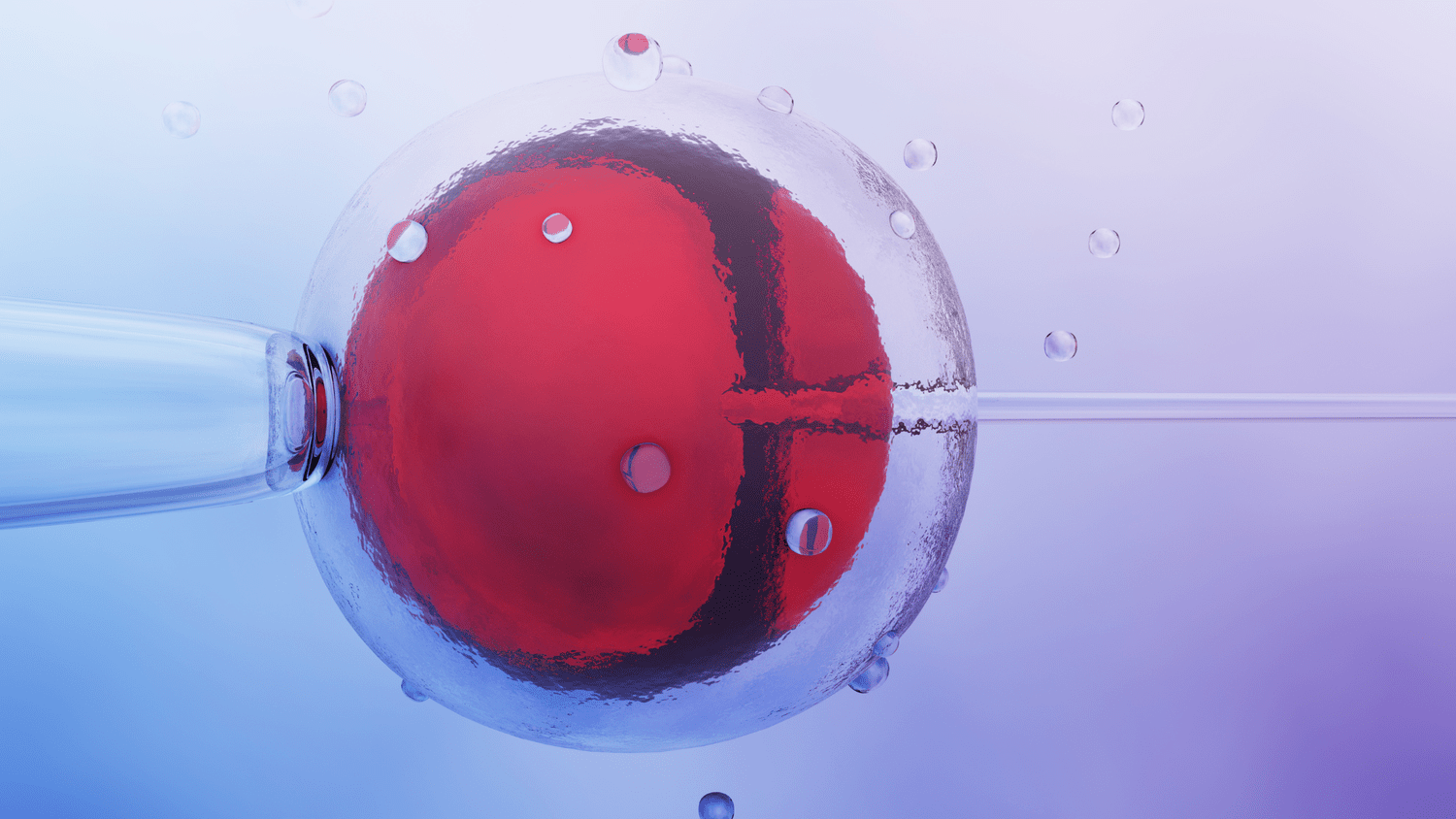 New Study Finds Fresh Embryo Transfer May Improve IVF Success for Some ...