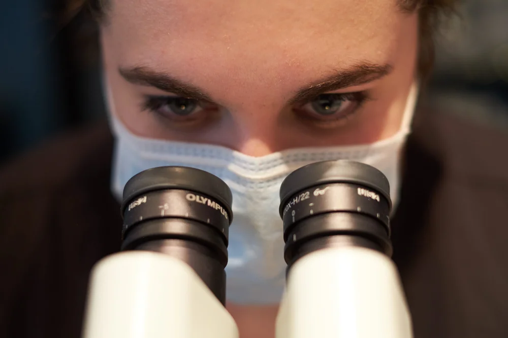 The Stages of In-Vitro Fertilization (IVF): What to Expect — The IVF ...