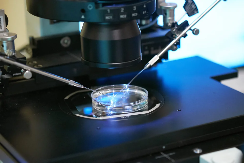 The Stages of In-Vitro Fertilization (IVF): What to Expect — The IVF ...