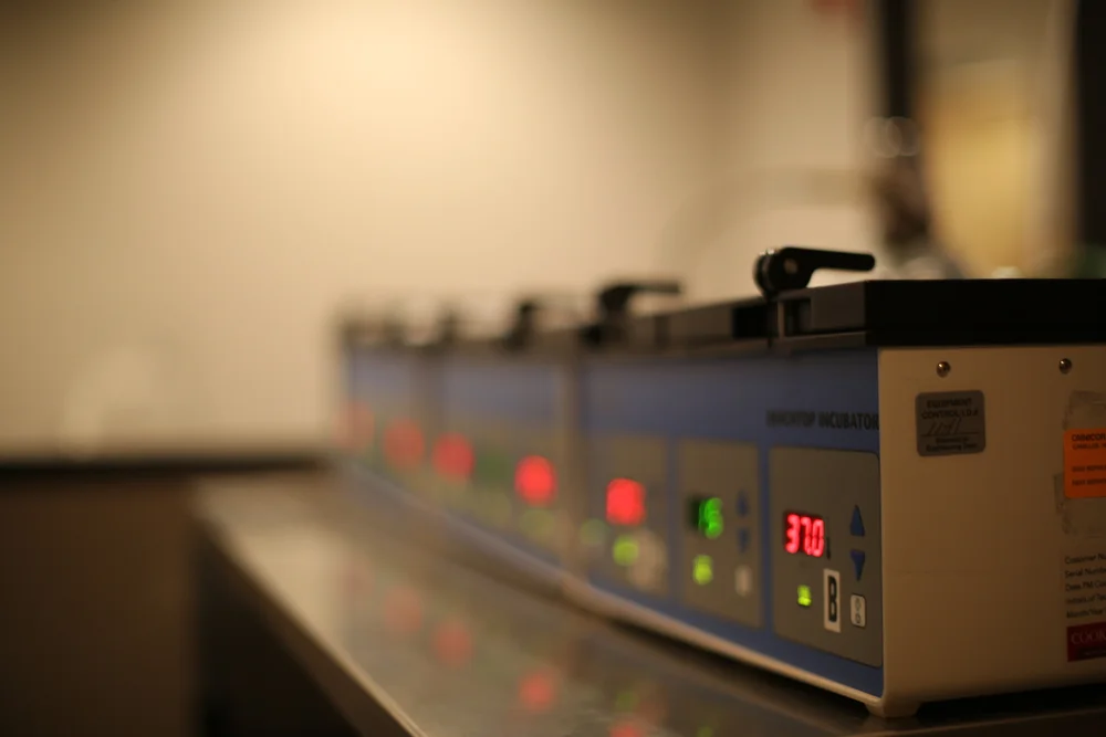 The Stages of In-Vitro Fertilization (IVF): What to Expect — The IVF ...