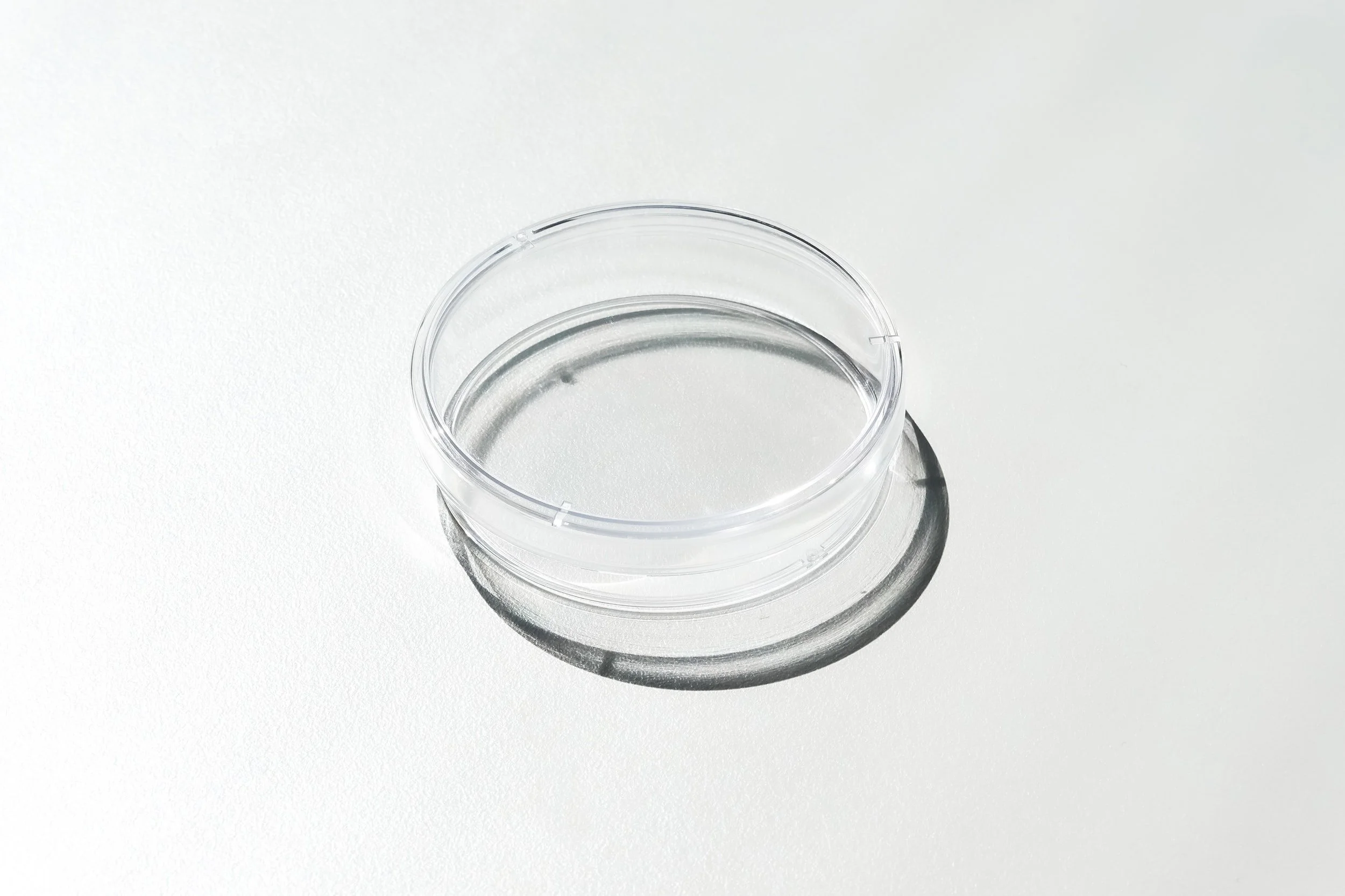 The Stages of In-Vitro Fertilization (IVF): What to Expect — The IVF ...