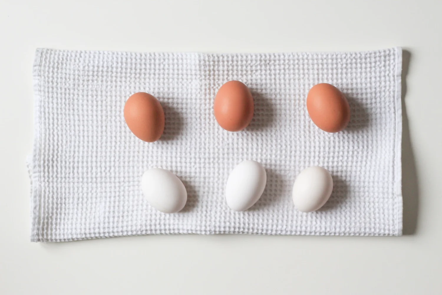 IVF Egg Retrieval: What to Expect — The IVF Warrior