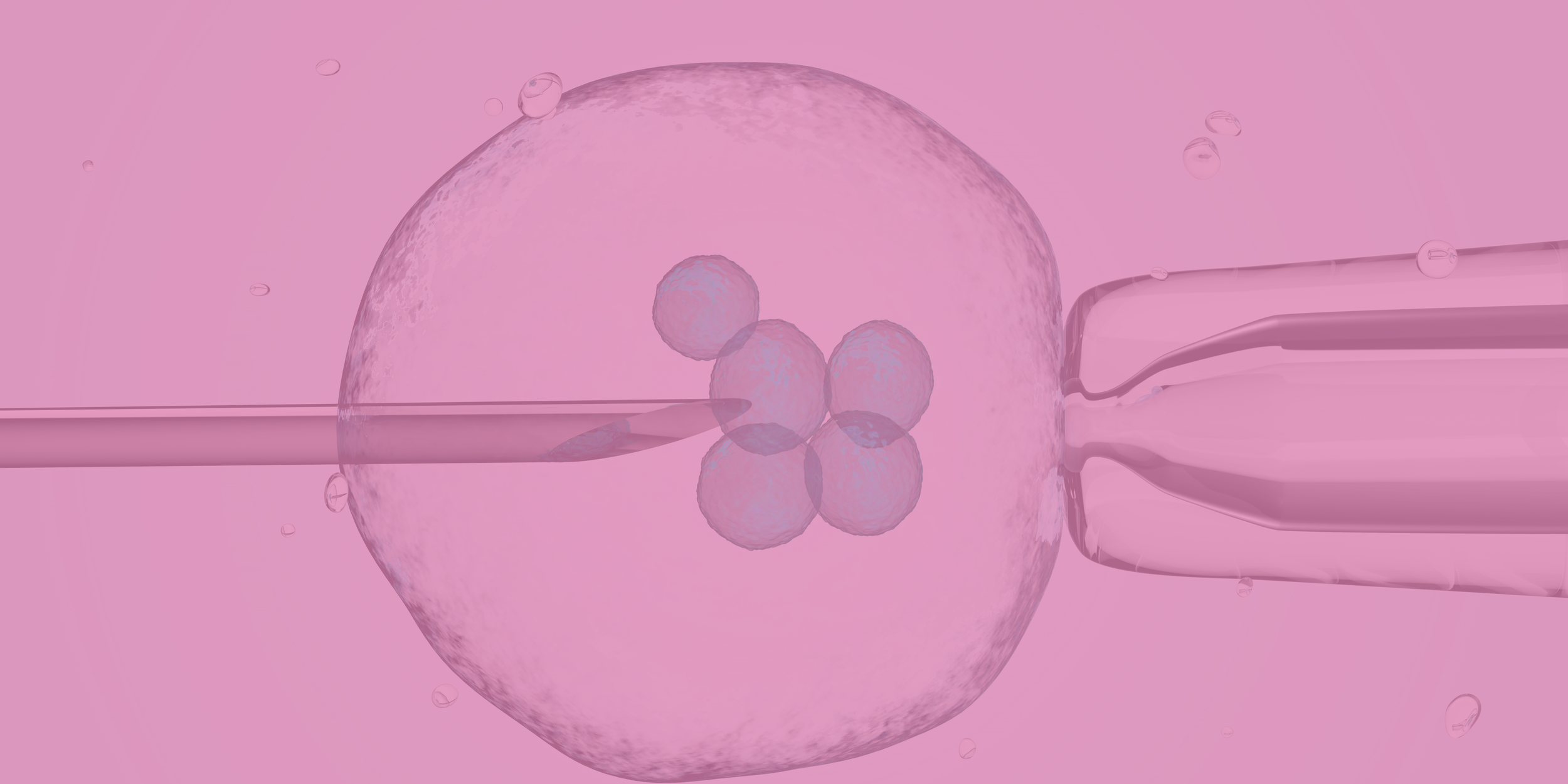 The IVF Warrior | Infertility, IVF, Fertility & More