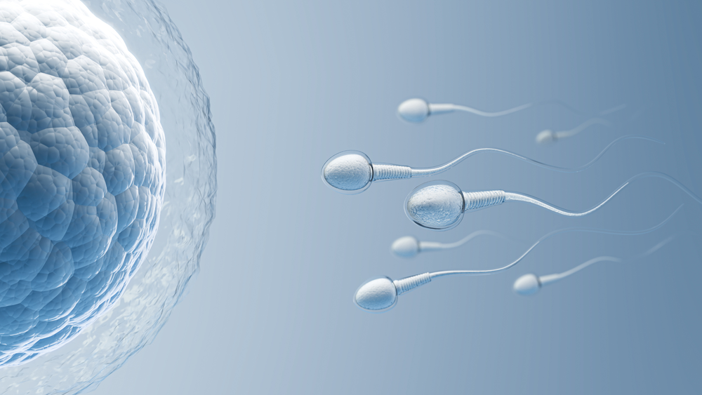 What is Assisted Reproductive Technology (ART)? — The IVF Warrior