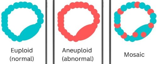 What Are Mosaic Embryos? — The IVF Warrior