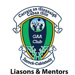 FoxCab Gaa Minor Team — FoxCabGaa - Foxrock Cabinteely GAA Club